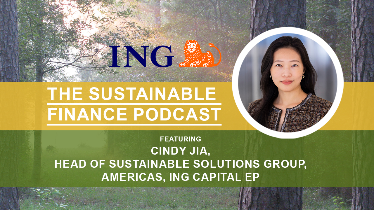 The Sustainable Finance Podcast: Avoiding the 'valley of death' in ...